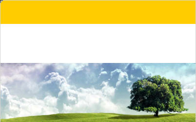 Learn How to Create Horizontal Image Transition Effect in Flash | EntheosWeb