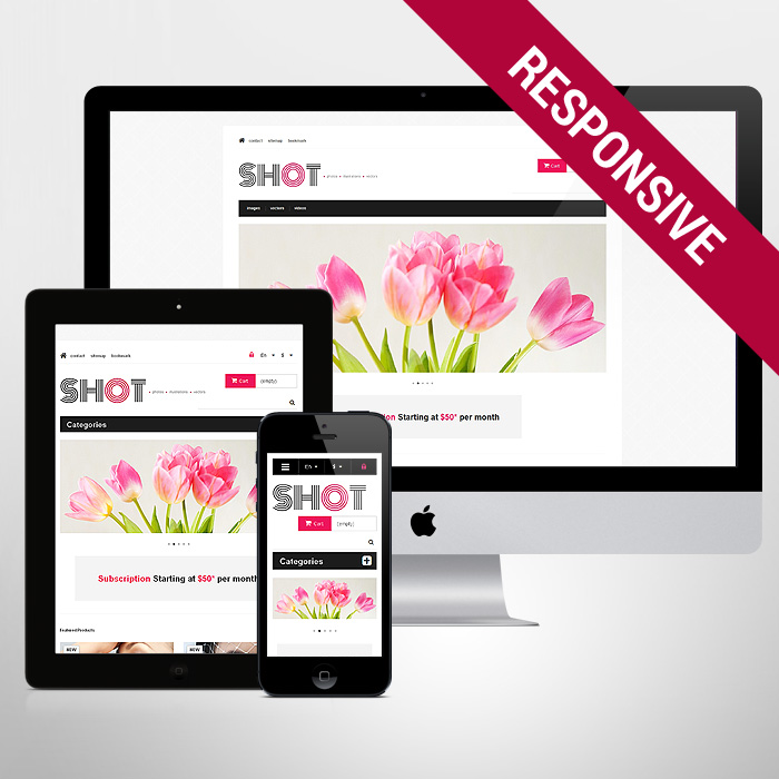 Best Responsive Templates of 2013 | EntheosWeb