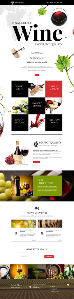 Best Website Templates June 2015 | EntheosWeb