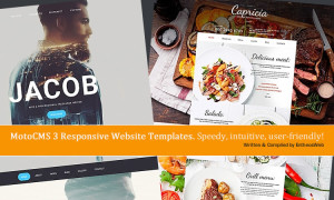 MotoCMS 3 Responsive Website Templates. Speedy, intuitive, user ...