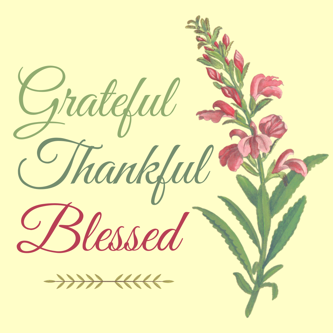 Free Grateful Thankful Blessed Graphic | EntheosWeb
