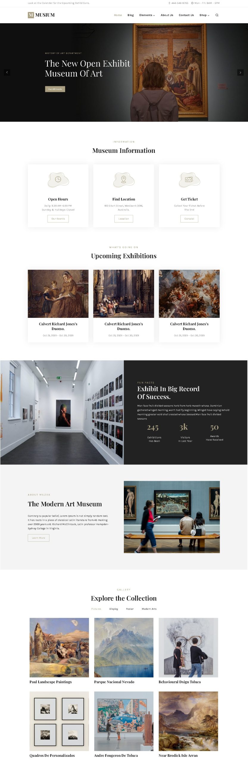 Creative & Modern WordPress Themes | EntheosWeb
