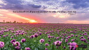 Christian Wallpapers with Bible Verses | EntheosWeb