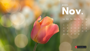 November Calendar Desktop Wallpaper | EntheosWeb
