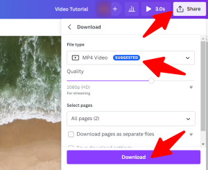 How to create a video in Canva » EntheosWeb
