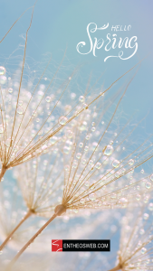 Spring Phone Wallpaper – Mobile Spring Backgrounds | EntheosWeb