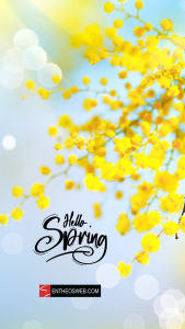 Spring Phone Wallpaper – Mobile Spring Backgrounds | EntheosWeb