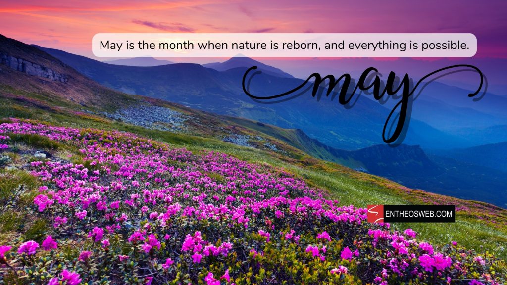 May Desktop Wallpaper Backgrounds | EntheosWeb