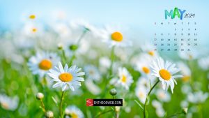 May 2024 Calendar Desktop Wallpaper » EntheosWeb