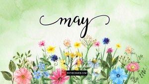 May Desktop Wallpaper Backgrounds | EntheosWeb