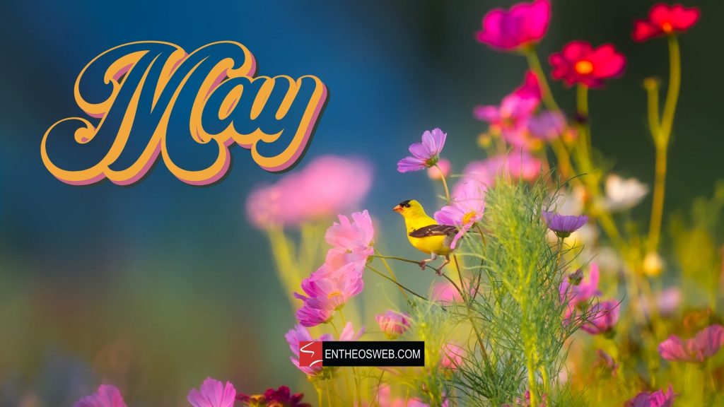 May Desktop Wallpaper Backgrounds | EntheosWeb