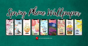 Spring Phone Wallpaper – Mobile Spring Backgrounds | EntheosWeb