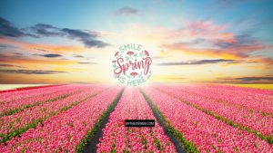 Spring Desktop Wallpaper – Flower/Floral Background Designs | EntheosWeb