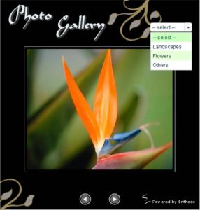 Free Flash & XML Photo Album with Categories | EntheosWeb