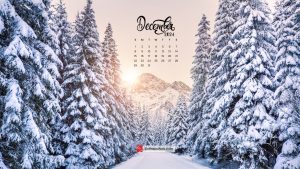 December 2024 Calendar Desktop Wallpaper | EntheosWeb