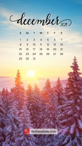 December 2024 Calendar Phone Wallpaper | EntheosWeb