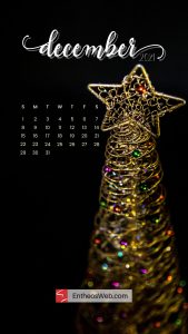 December 2024 Calendar Phone Wallpaper | EntheosWeb