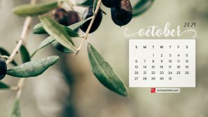 October 2024 Calendar Desktop Wallpaper Backgrounds & Screensavers ...