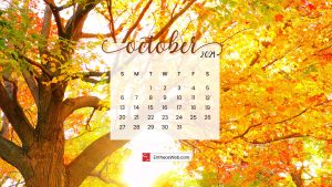 October 2024 Calendar Desktop Wallpaper Backgrounds & Screensavers ...