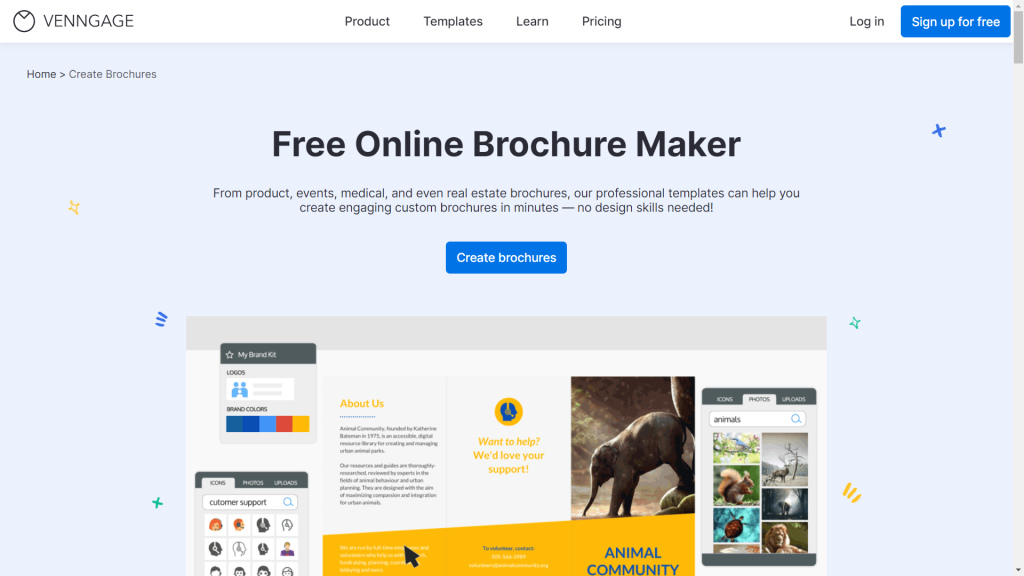 Best Brochure Design Creators | EntheosWeb