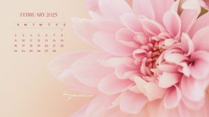February 2025 Desktop Wallpaper Calendars | EntheosWeb