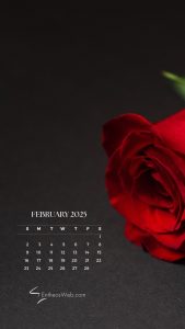 February 2025 Phone Wallpaper | EntheosWeb