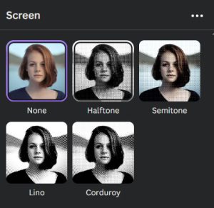 Create a Halftone Photo Effect in Canva » EntheosWeb