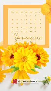 January 2026 Calendar Phone Wallpaper | EntheosWeb