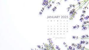 January 2025 Wallpaper for Laptops and Desktops | EntheosWeb