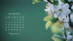 January 2025 Wallpaper for Laptops and Desktops | EntheosWeb