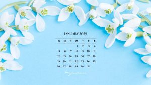 January 2025 Wallpaper for Laptops and Desktops | EntheosWeb