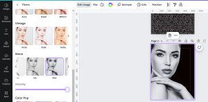 Create a Typography Portrait Design in Canva | EntheosWeb