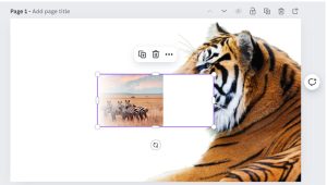Double Exposure Effect – Simple Canva Tutorial | EntheosWeb