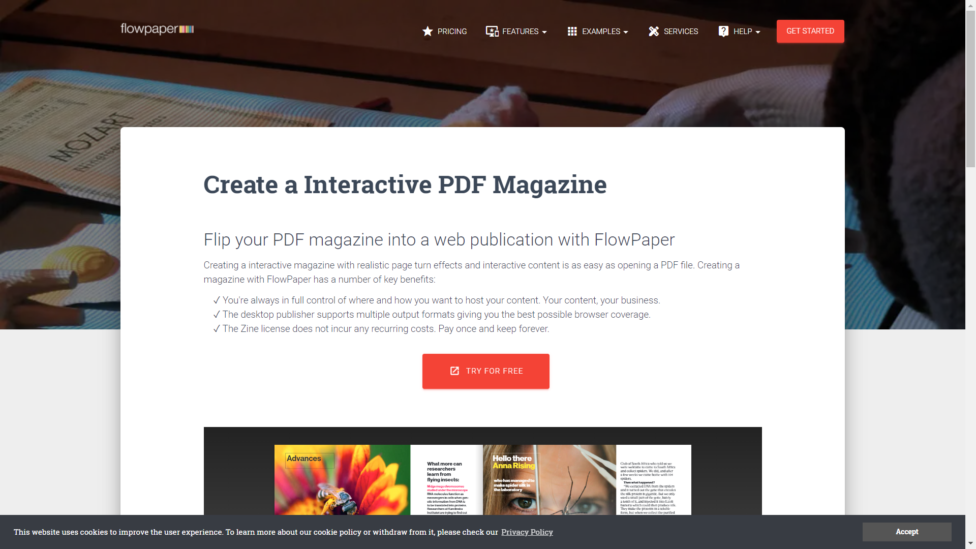Best Online Digital Magazine Makers | EntheosWeb