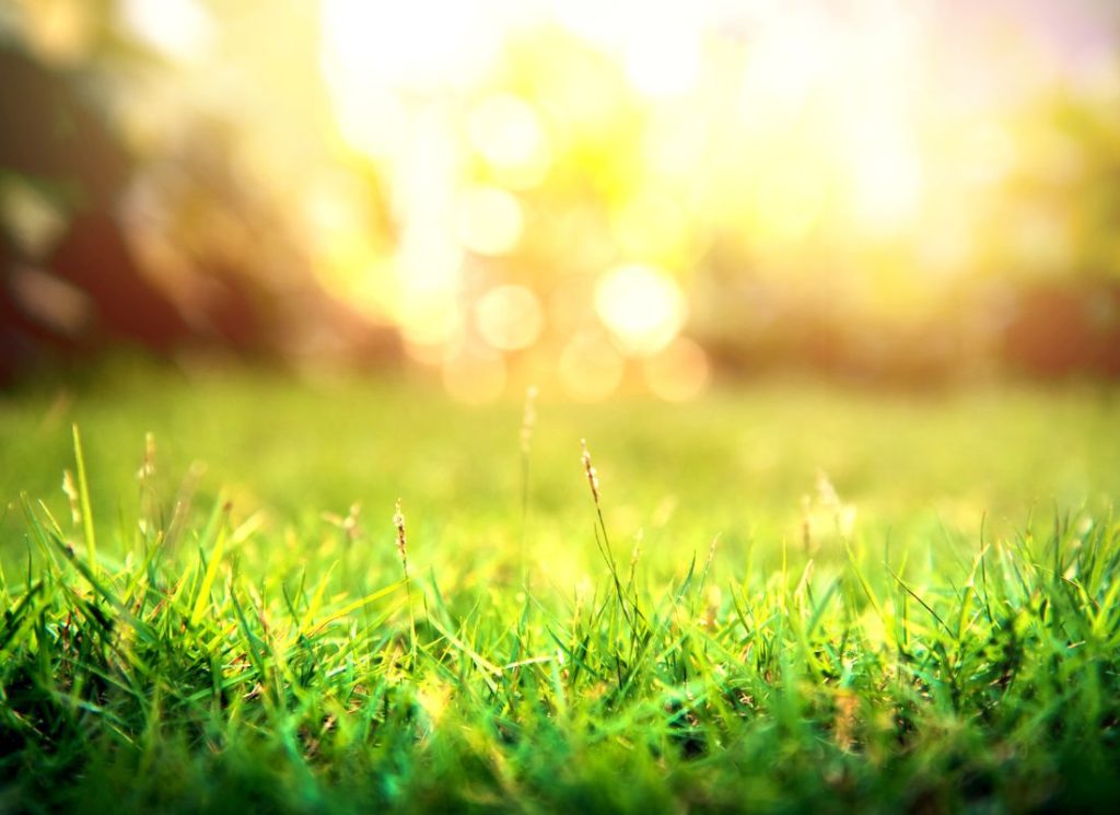 Magic Grab Tool Techniques in Canva – Tutorial | EntheosWeb