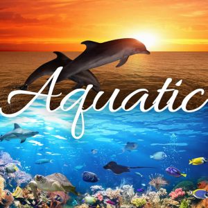 Beautiful Split Screen Typography Text Effect | EntheosWeb