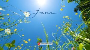June Desktop Wallpaper Backgrounds | EntheosWeb