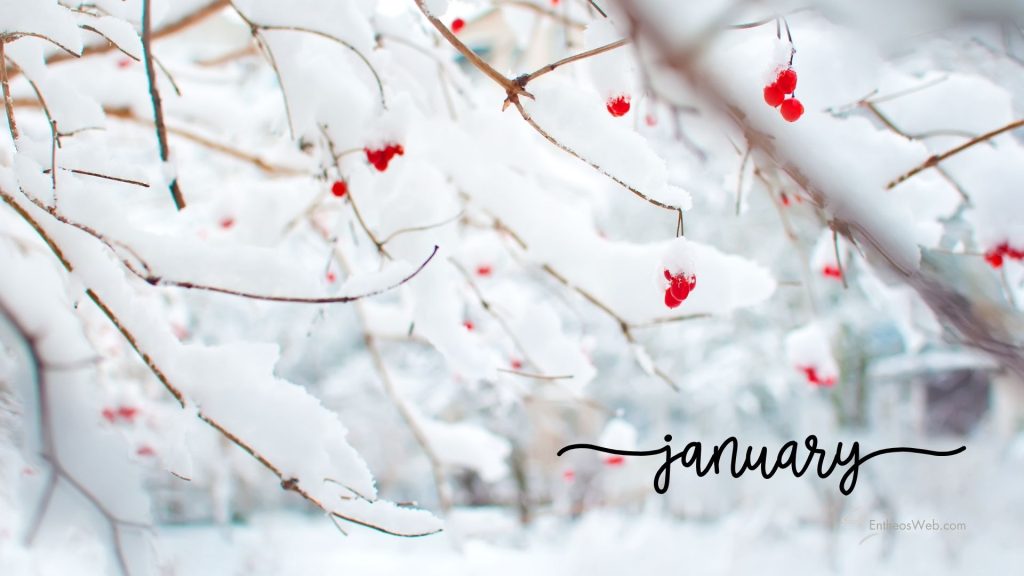 January Desktop Wallpaper | EntheosWeb
