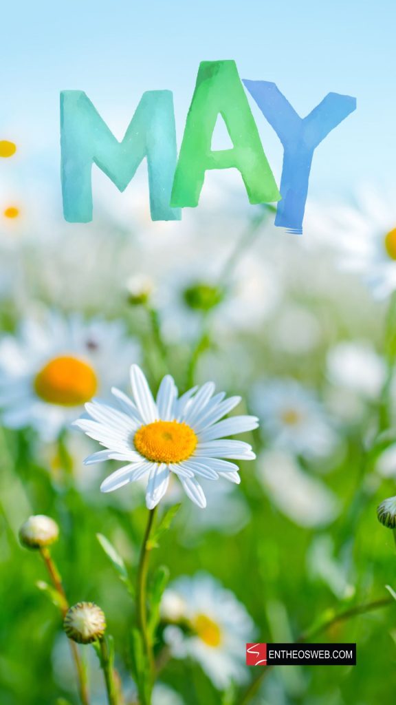 May Wallpaper for Phone | EntheosWeb