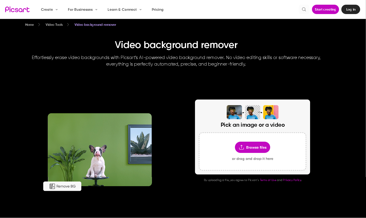 Free Video Background Removers | EntheosWeb