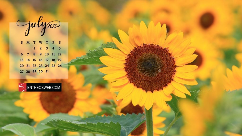 July 2025 Desktop Wallpapers & Screensavers | EntheosWeb