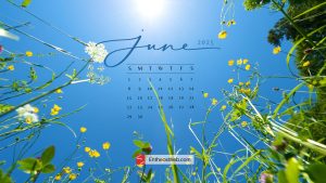 June 2025 Desktop Wallpaper Backgrounds & Screensavers | EntheosWeb