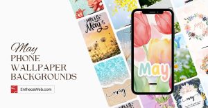 May Wallpaper for Phone | EntheosWeb