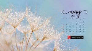 May 2025 Calendar Desktop Wallpaper | EntheosWeb