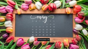 May 2025 Calendar Desktop Wallpaper | EntheosWeb