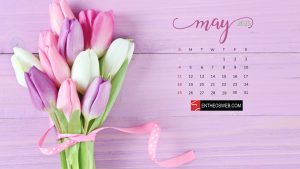 May 2025 Calendar Desktop Wallpaper | EntheosWeb