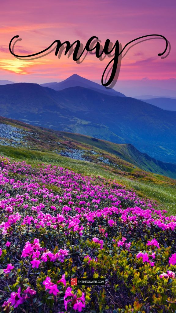 May Wallpapers | EntheosWeb