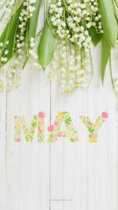May Wallpaper for Phone | EntheosWeb