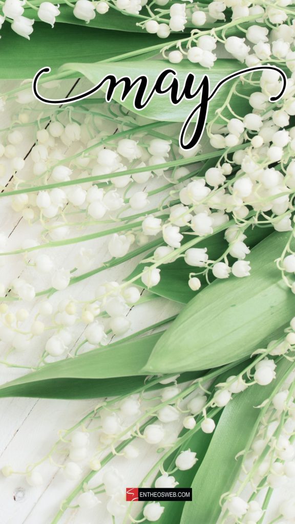 May Wallpaper for Phone | EntheosWeb