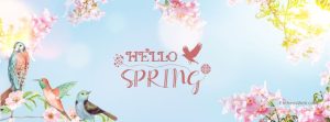 Spring Facebook Covers | EntheosWeb